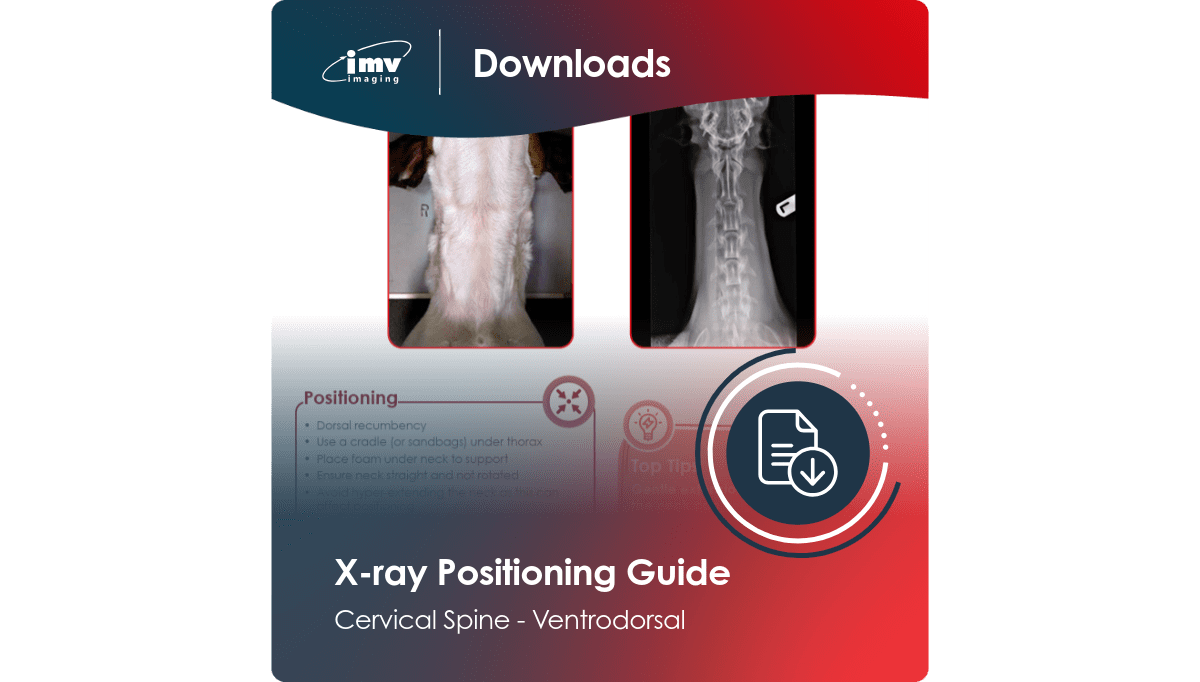 Cervical Spine Ventrodorsal x-ray positioning guide: Free Download