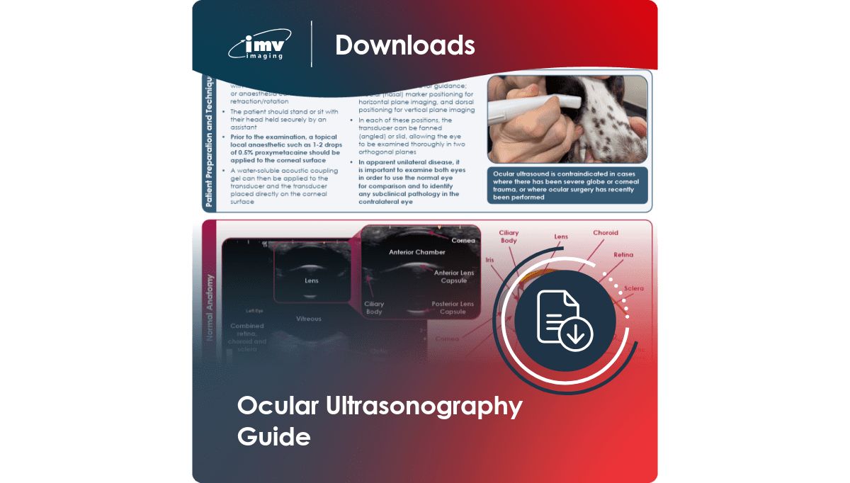 Free Ocular Ultrasonography Guide: IMV Imaging