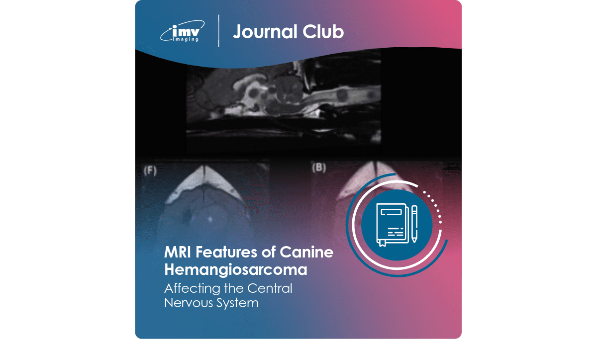 Canine Hemangiosarcoma in CNS | MRI Features | IMV Imaging