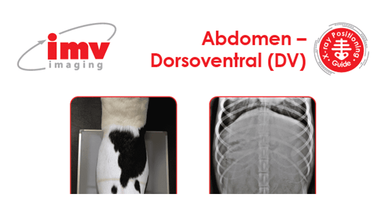 Free Download: Abdominal Dorsoventral X-ray positioning guide | IMV Imaging