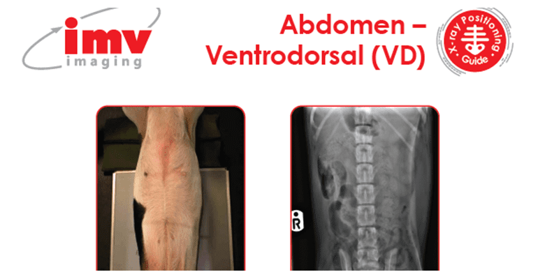 Free Download: Abdomen Ventrodorsal X-ray Positioning Guide | IMV Imaging