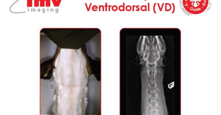 Free Download: Cervical Spine – Ventrodorsal canine x-ray positioning ...