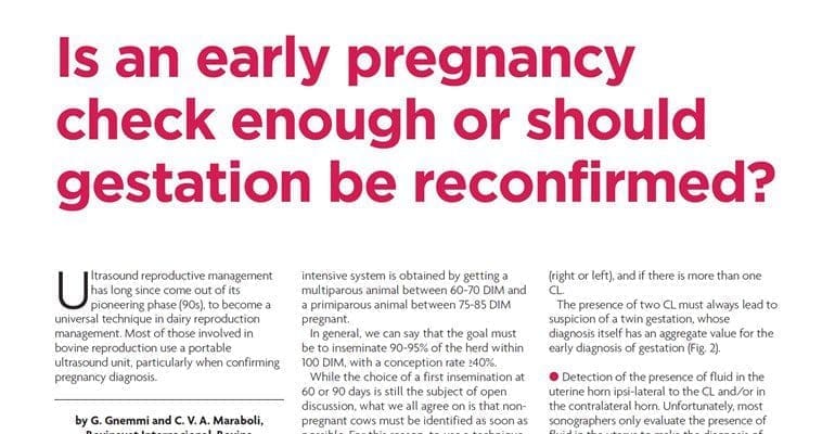 Early pregnancy check enough or gestation be reconfirmed | IMV