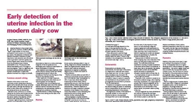 Uterine infection | Modern dairy cow | Veterinary Ultrasound