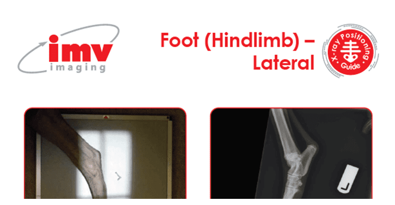 Free Download: Foot (hindlimb) – Lateral canine x-ray positioning guide ...