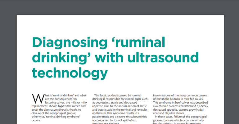 Diagnosing ruminal drinking | Veterinary Ultrasound | IMV