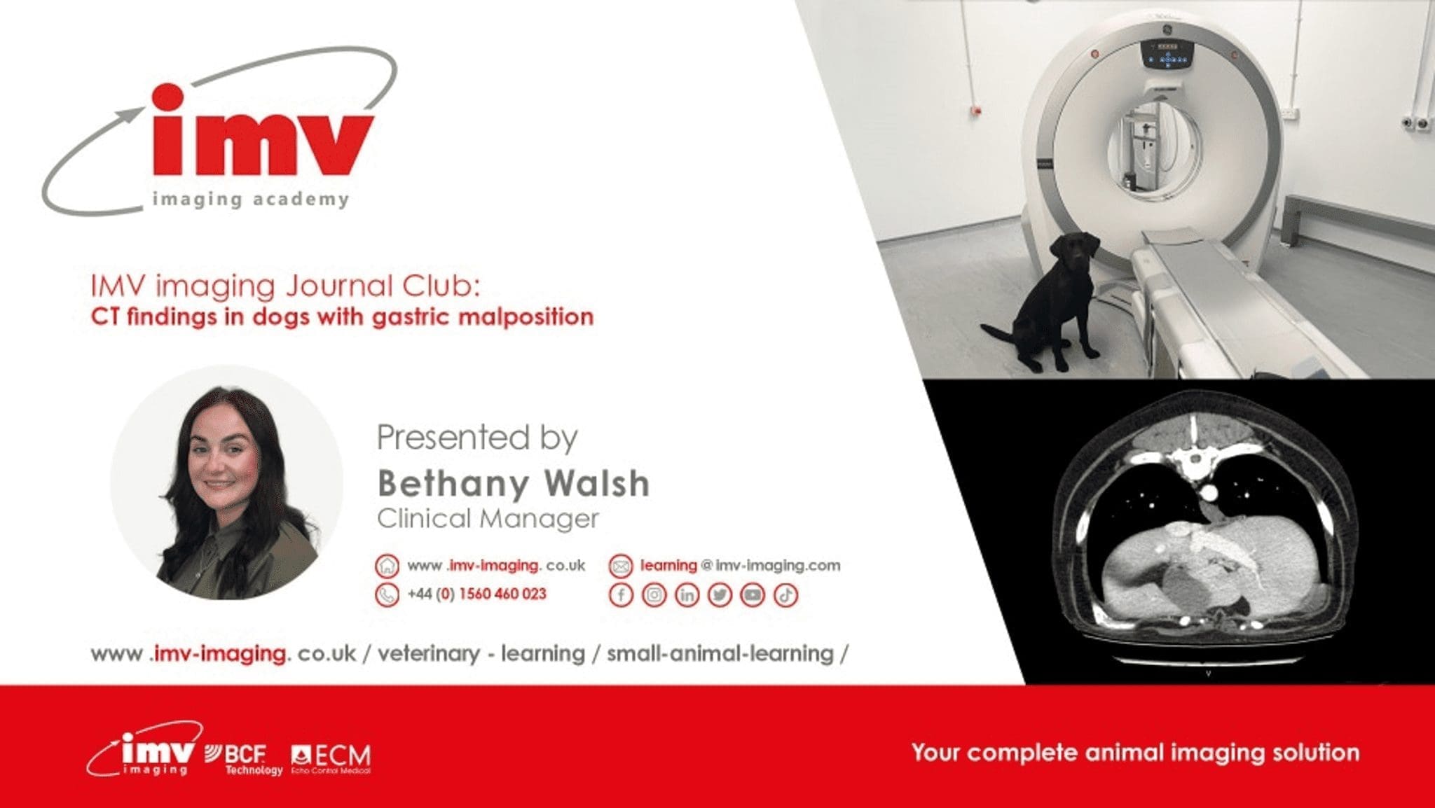 CT findings in dogs gastric malposition: IMV Imaging Journal Club