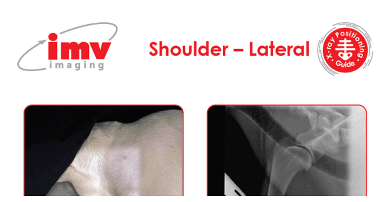 Free Download: Shoulder – Lateral canine x-ray positioning guide | IMV ...