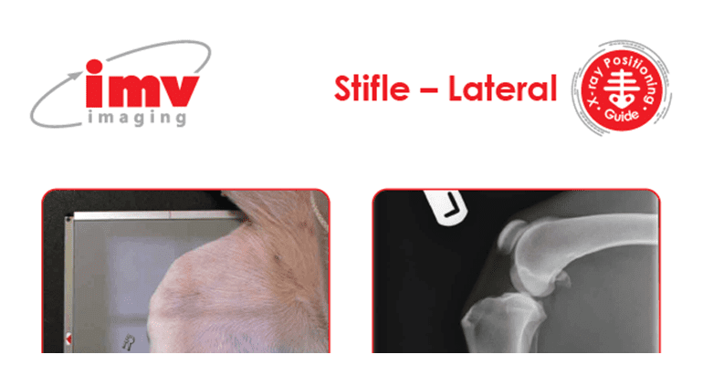 Free Download: Stifle – lateral canine x-ray positioning guide | IMV ...