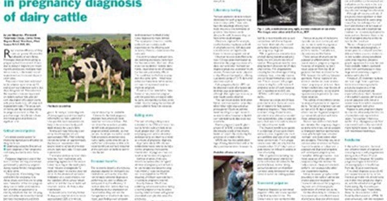 Ultrasonography in pregnancy diagnosis of dairy cattle | IMV