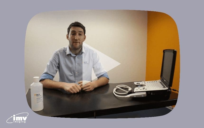 Abdominal ultrasound FAST scanning techniques for dogs video 2 - the ...