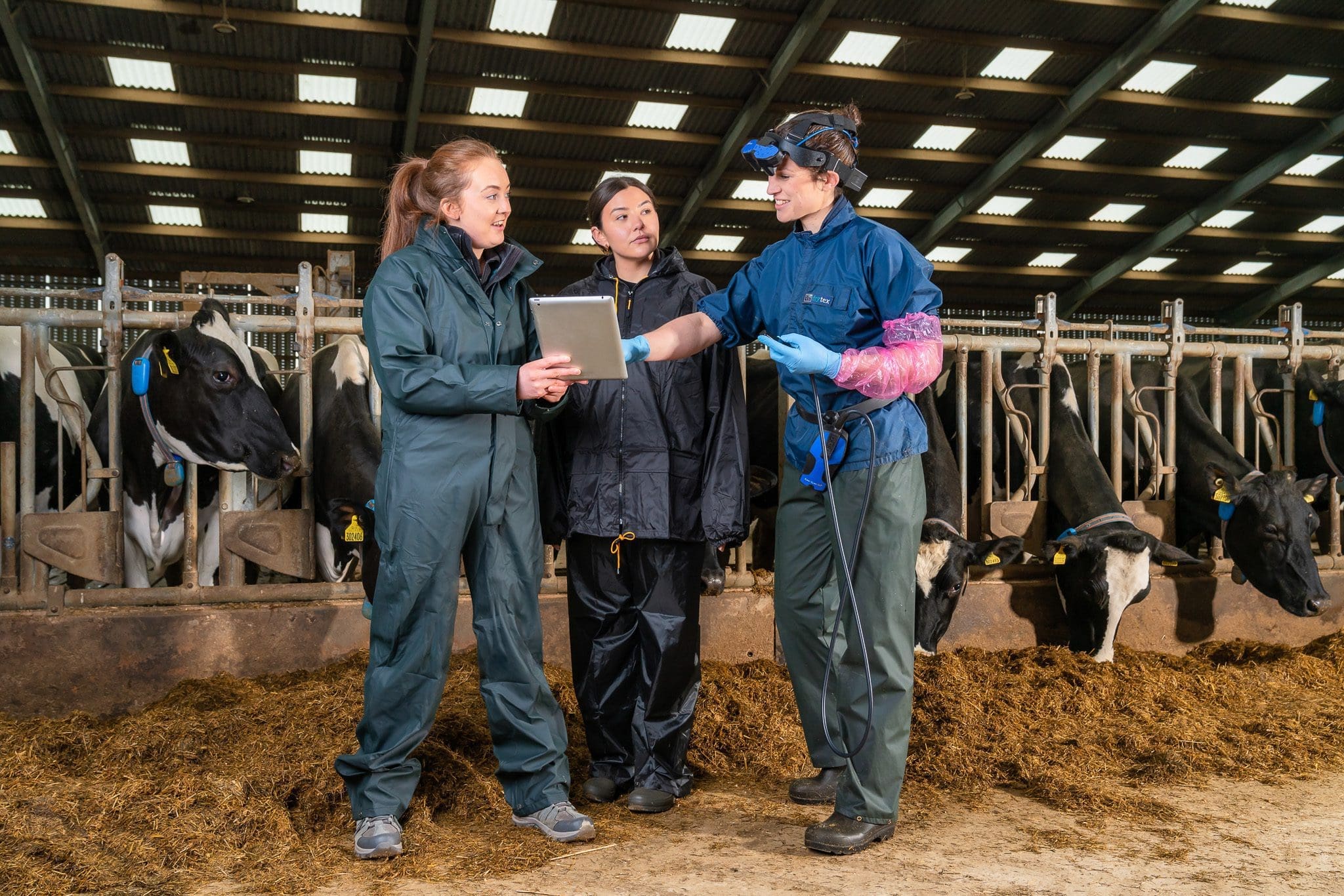 IMV Imaging | Veterinary imaging equipment supplier