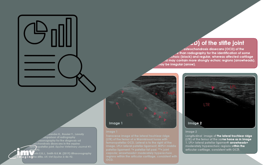 Osteochondrosis dissecans (OCD) | Stifle Joint | IMV Imaging