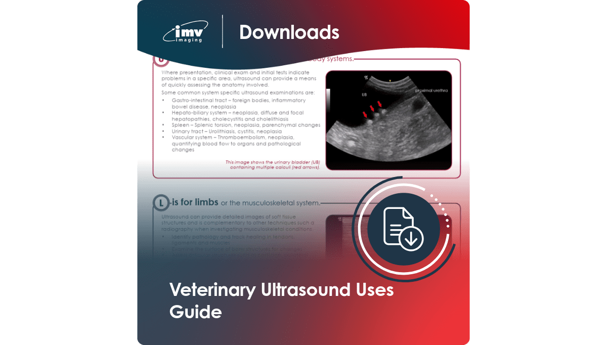 Veterinary Ultrasound Uses Guide | Small Animal Ultrasound | IMV