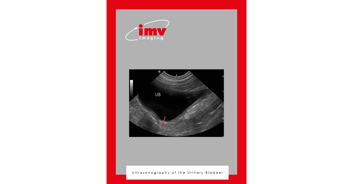 Ultrasonography of the Urinary Bladder