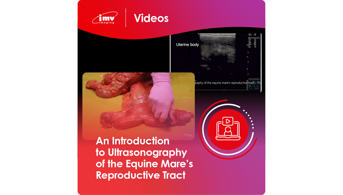 An introduction to ultrasonography of the equine mare’s reproductive ...