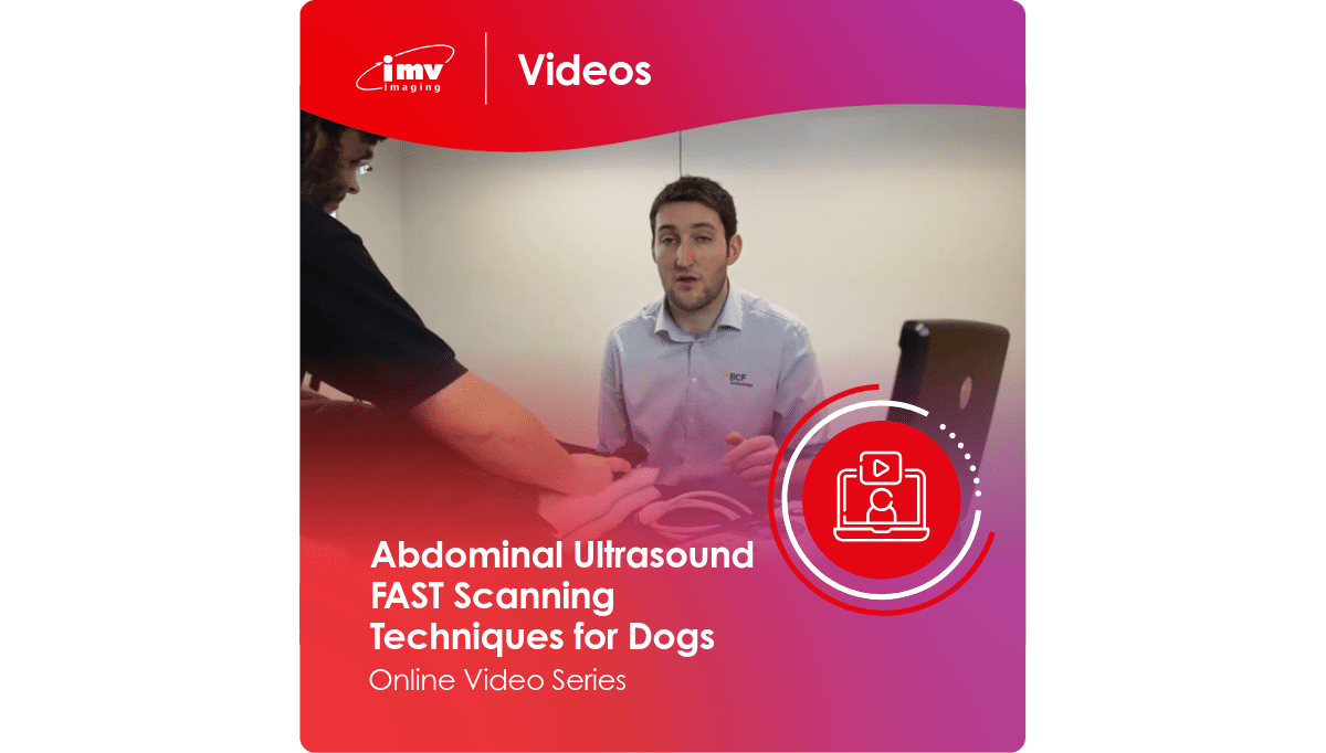 Small Animal Abdominal Ultrasound Fast Scanning Techniques for Dog