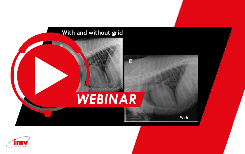 Webinar: Use & Misuse of Grids in Radiography | IMV Imaging