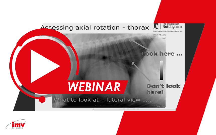 Webinar - Thoracic radiology -and those dreaded lung patterns! | IMV ...