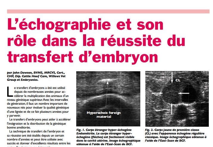 L'échographie et son rôle dans la réussite du transfert d'embryon | IMV ...