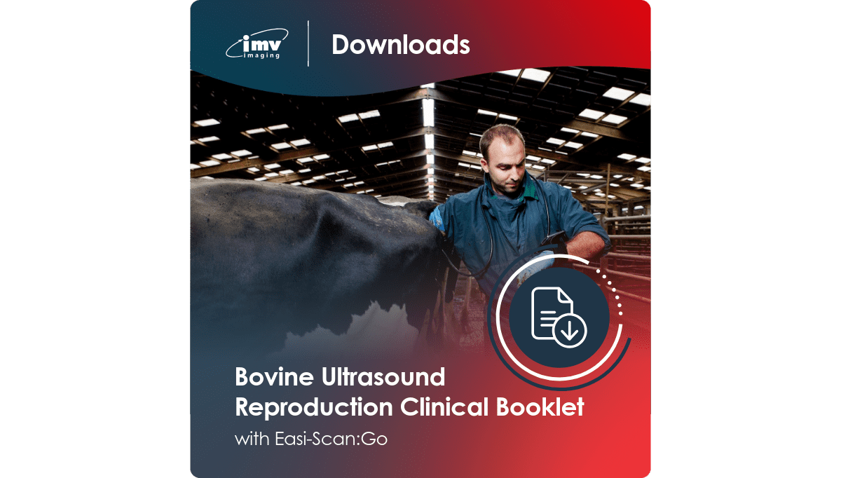 Bovine Ultrasound Reproduction Booklet: Free Download