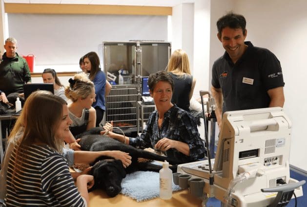 Vet Student Starter Package | IMV imaging