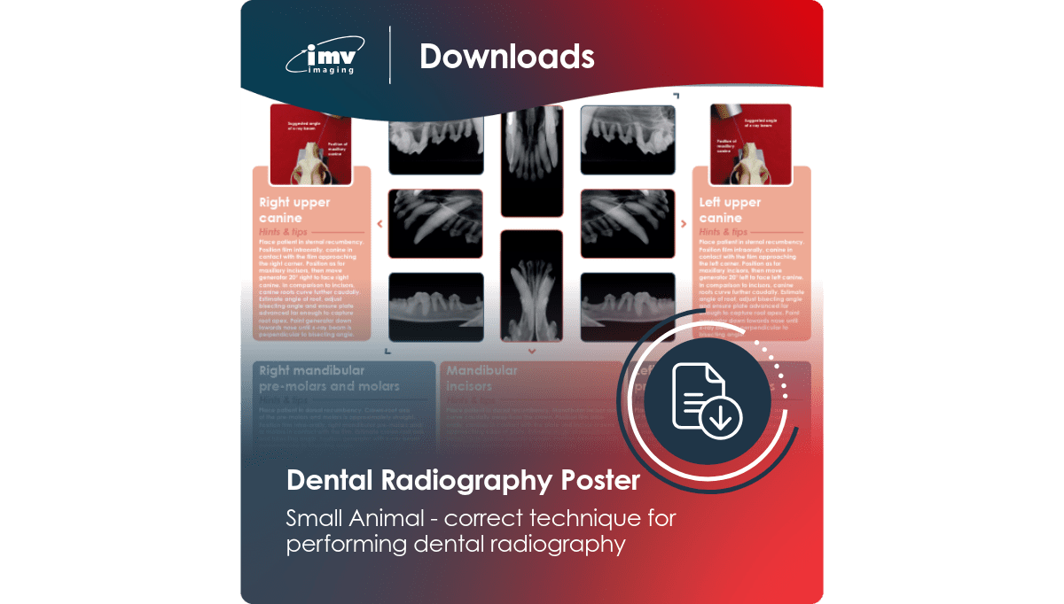 Dental Radiography Positioning Guide | IMV Imaging