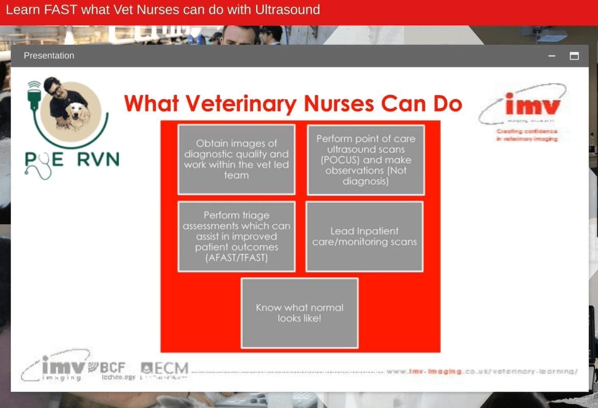 Webinar: Learn FAST what vet nurses can do with ultrasound | IMV Imaging