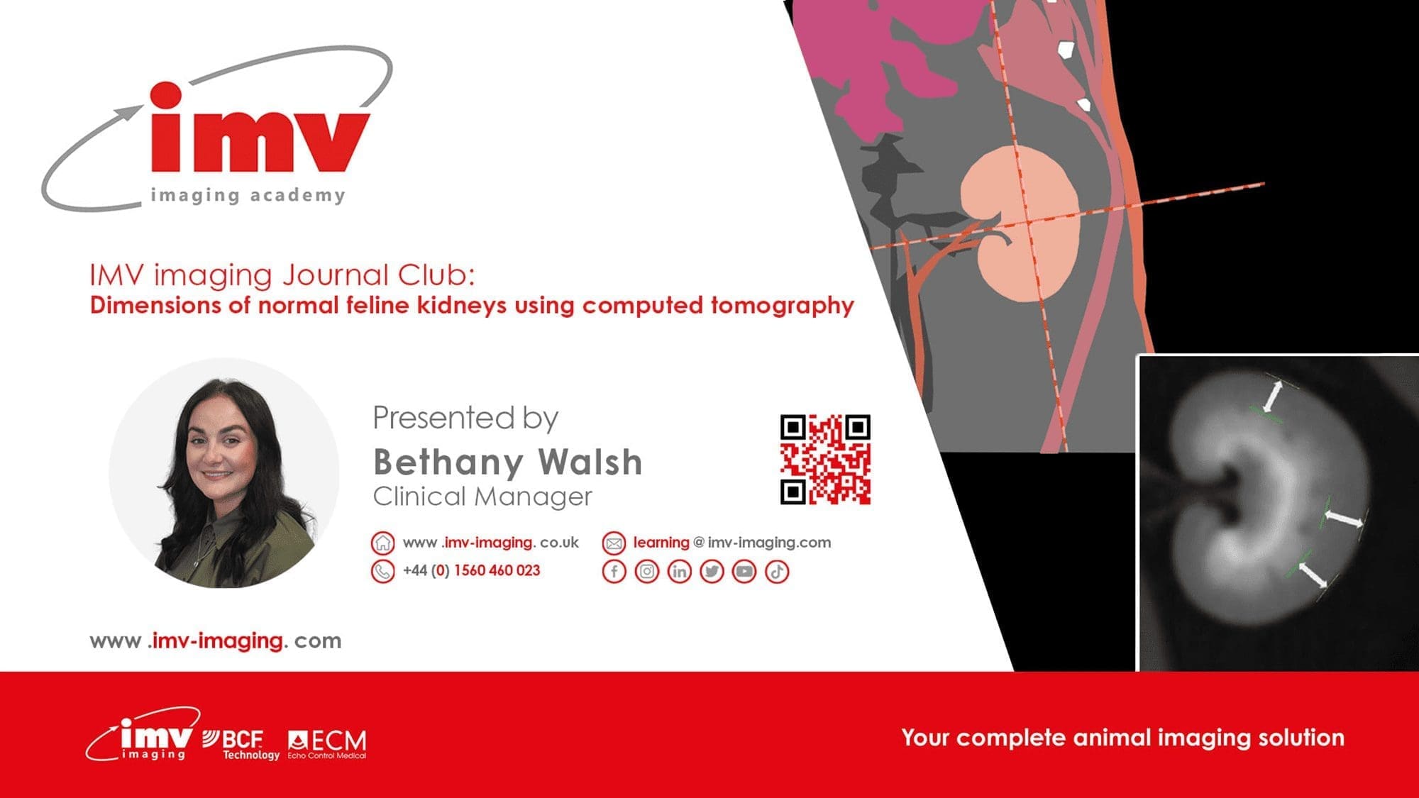 Journal Club - Dimensions of Normal Feline Kidneys using Computed ...