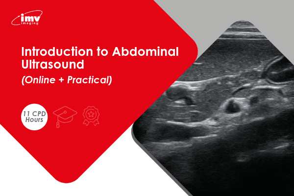 Introduction to Abdominal Ultrasound Theory & Practical Course