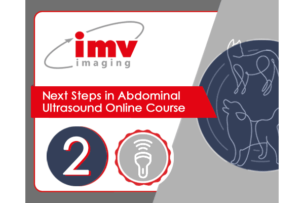 Abdominal Ultrasound: Next Steps Online Course | IMV Imaging