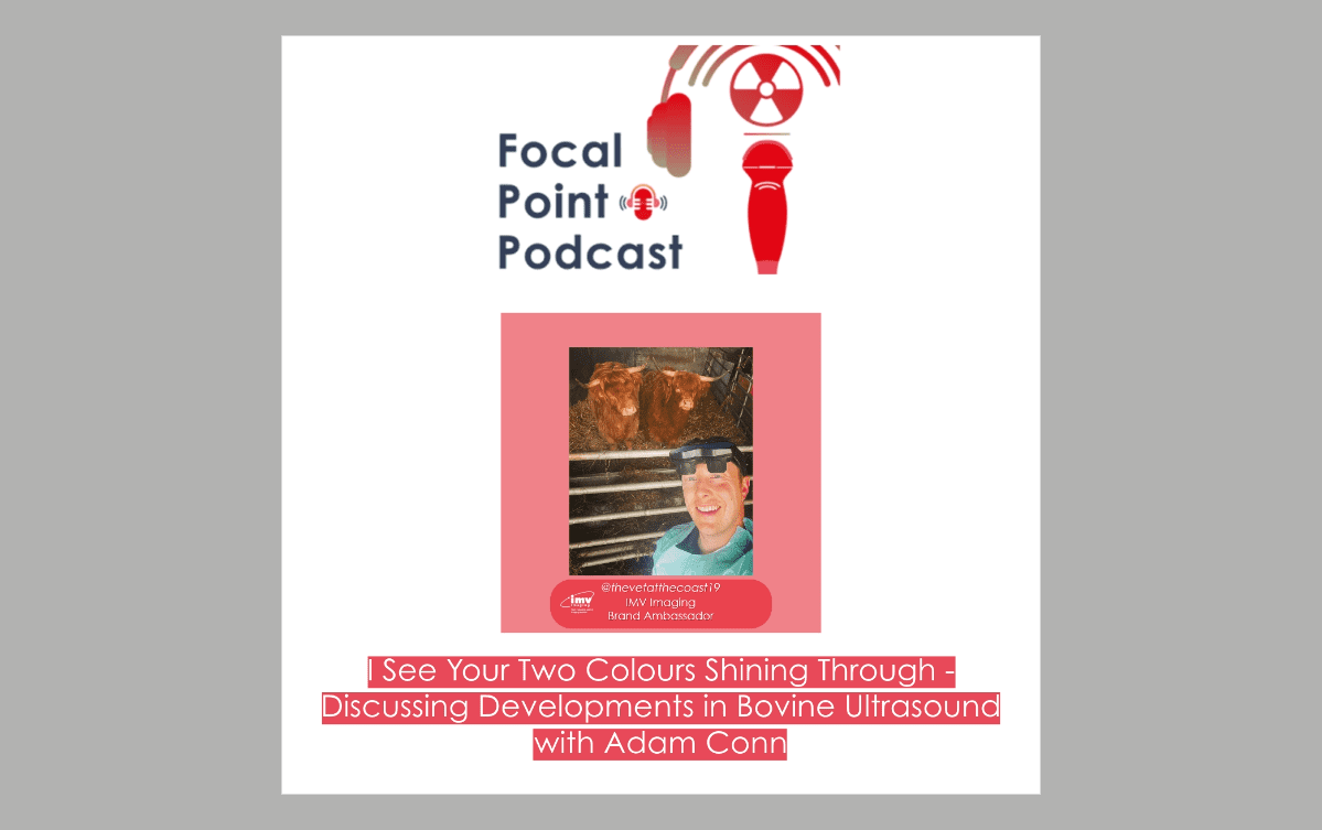 Podcast: I See Your Two Colours Shining Through - IMV Imaging