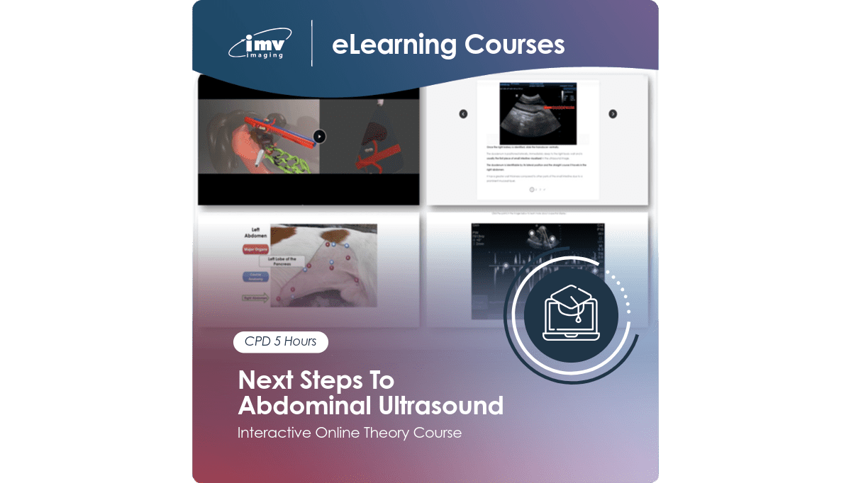 Abdominal Ultrasound: Next Steps Online Course | IMV imaging