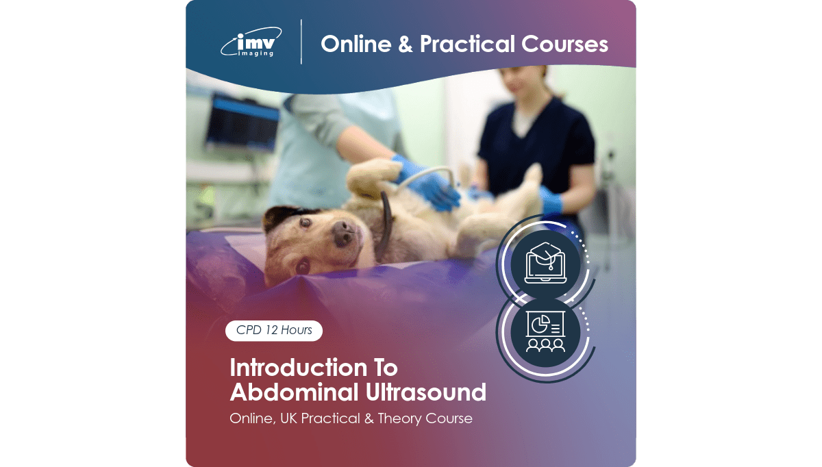 Introduction to Abdominal Ultrasound Theory & Practical Course