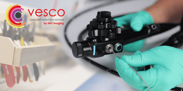 VESCO | Veterinary Endoscopy | IMV Imaging
