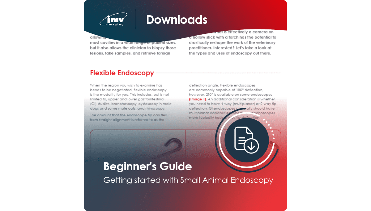 Beginners' Guide to Endoscopy: Free Download