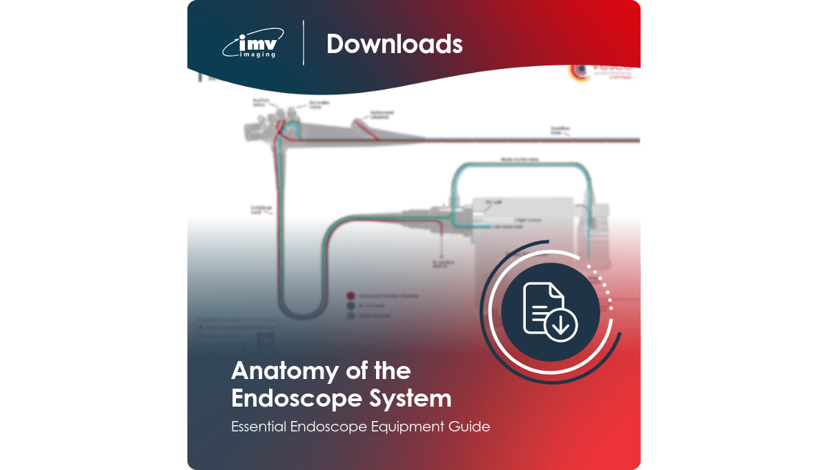 Anatomy of Endoscope System: Free Download| IMV Imaging