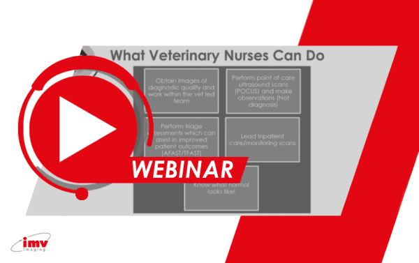 Webinar: Learn FAST what vet nurses can do with ultrasound | IMV Imaging