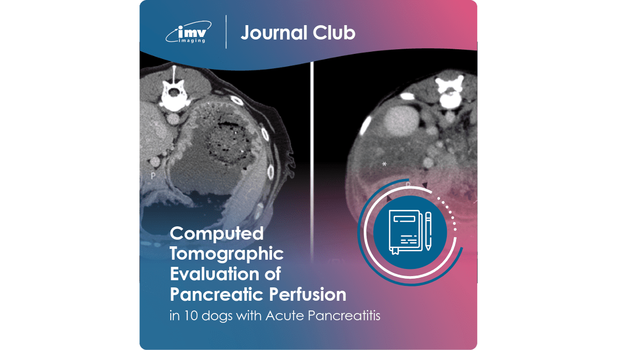 Computed tomographic evaluation of pancreatic perfusion
