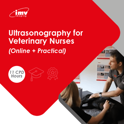 Ultrasonography for Vet Nurses (Online + Practical - 2/4/25, 9/7/25, 3 ...