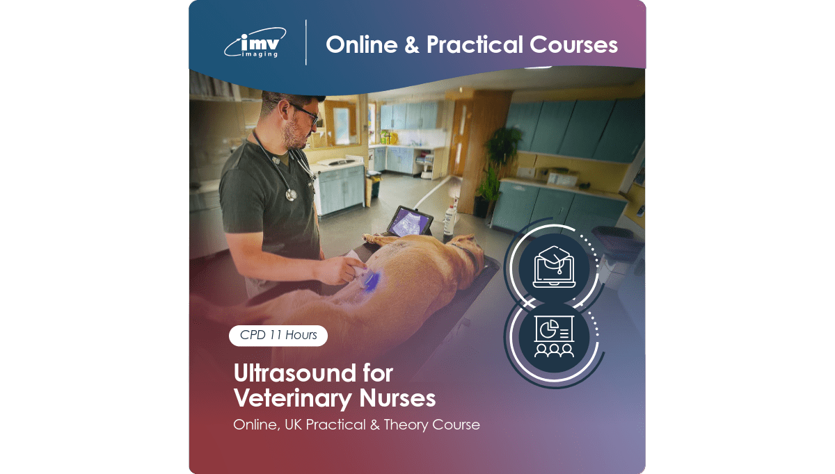 Ultrasonography for Vet Nurses (Online + Practical - 20/4/26, 1/7/26, 30/9/26) | IMV imaging