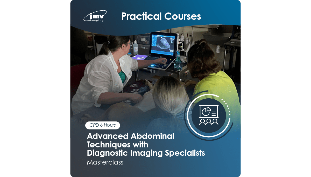 Masterclass: Advanced Abdominal Ultrasound Techniques (16/10/25) | IMV ...