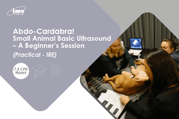 Abdo-Cardabra! Small Animal Basic Ultrasound – A beginner's session ...