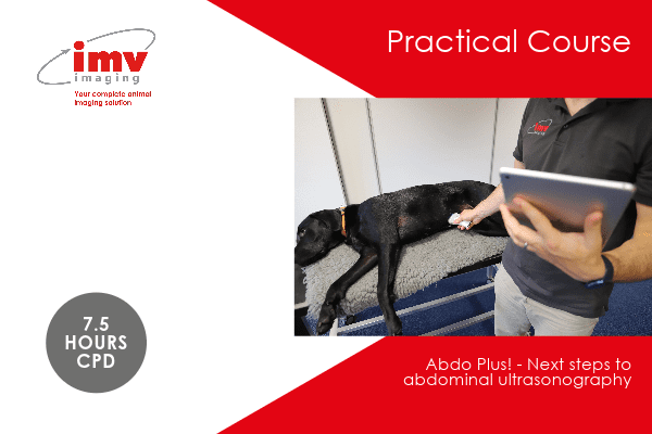 Abdo Plus! - Next steps to abdominal ultrasonography – An Intermediate ...