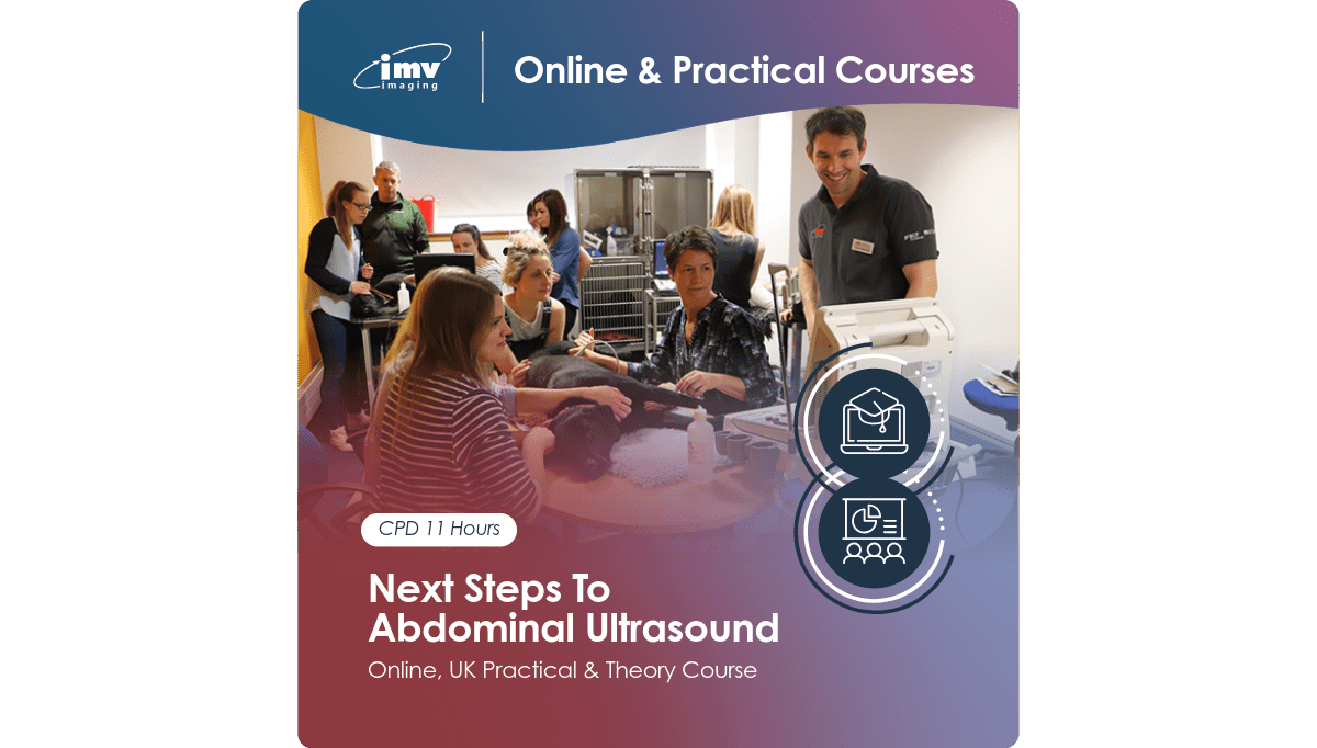 Next Steps in Abdominal Ultrasound (Online + Practical - 16/07/26 & 02/12/26) | IMV Imaging