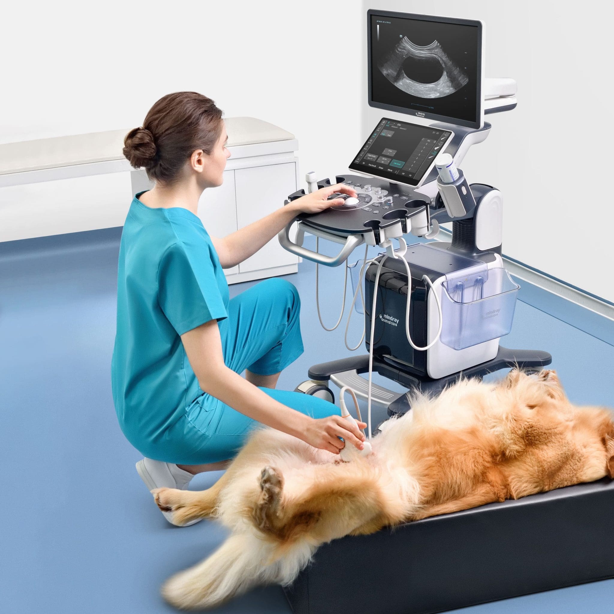 Abdominal Ultrasound Checklist | IMV imaging