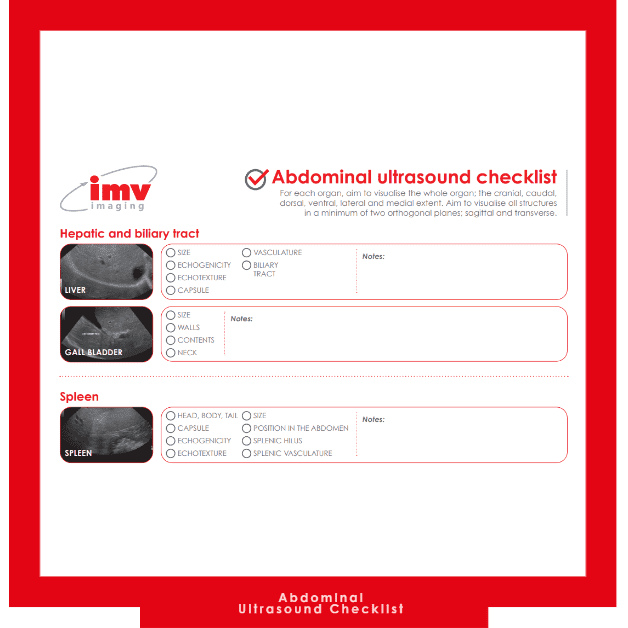 Abdominal Ultrasound Report Guide | IMV Imaging Academy