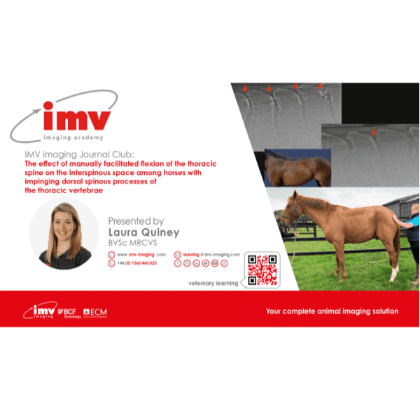 Free Download: Thoracolumbar Ultrasonography Poster | IMV Imaging