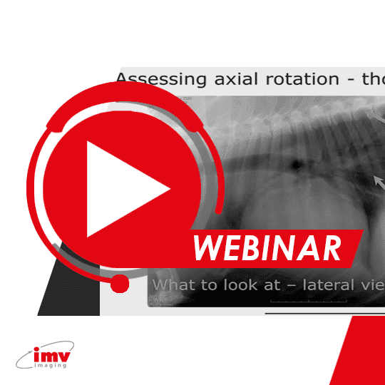 Free Download: Thoracolumbar Ultrasonography Poster | IMV Imaging