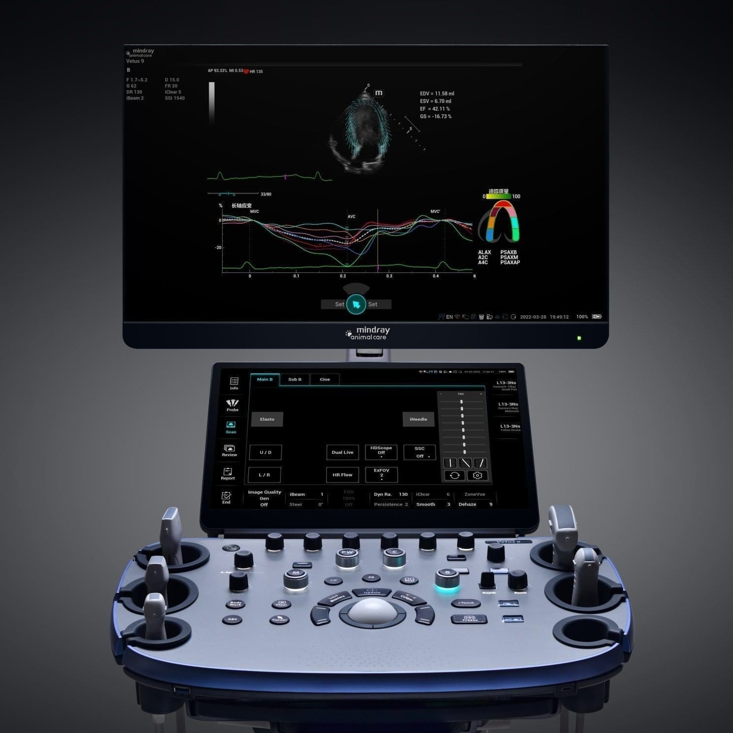 Veterinary Ultrasound Uses Guide | Small Animal Ultrasound | IMV
